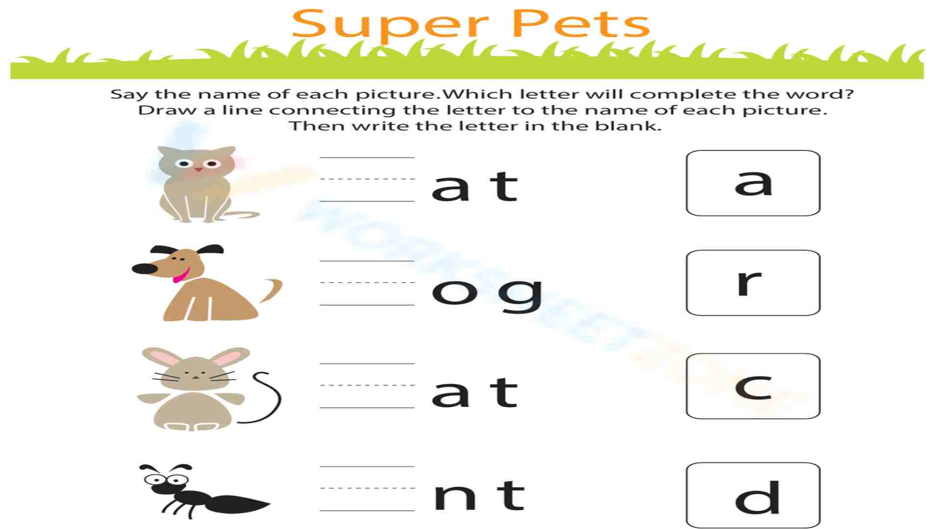 CVC Words: Reading and Writing | Checkout Now