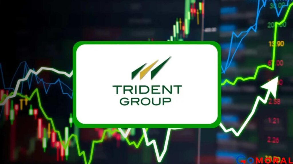 Trident Share Price Target 2030: From 2024 To 2030